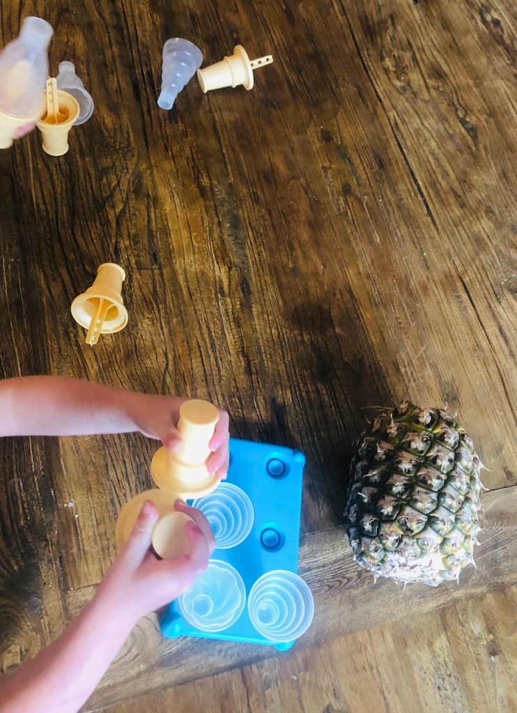 homemade ‘splice’ ice blocks | fresh pineapple juice + vanilla bean ...