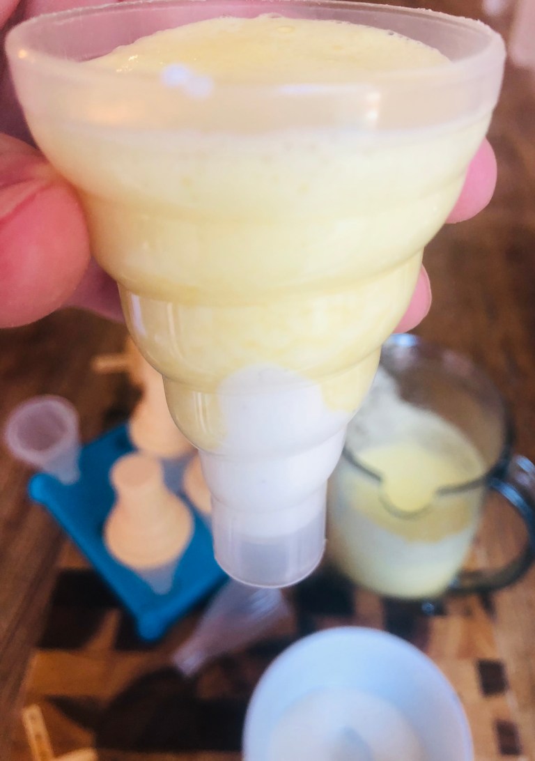 homemade ‘splice’ ice blocks | fresh pineapple juice + vanilla bean ...